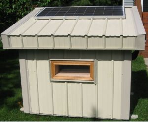Keeping a Dog House Warm With Solar Power | Decor Or Design