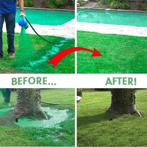 Hydro Mousse Liquid Lawn Components and Tips | Decor Or Design