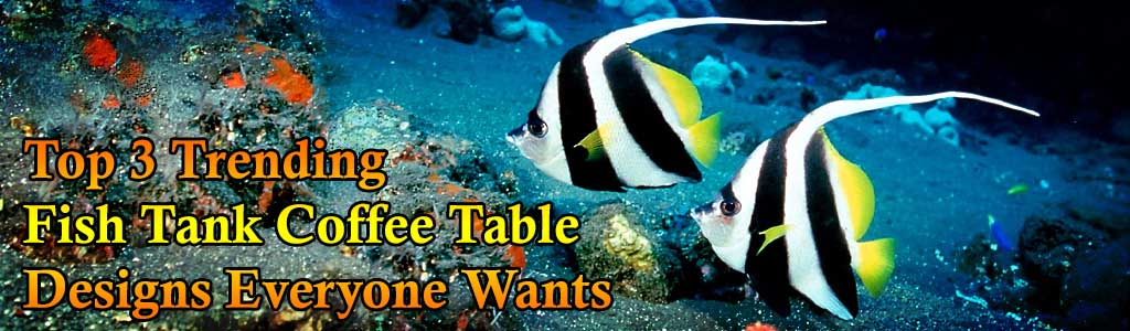 9 Aquarium Coffee Table Tips & Ideas For The Living Room | Decor Or Design